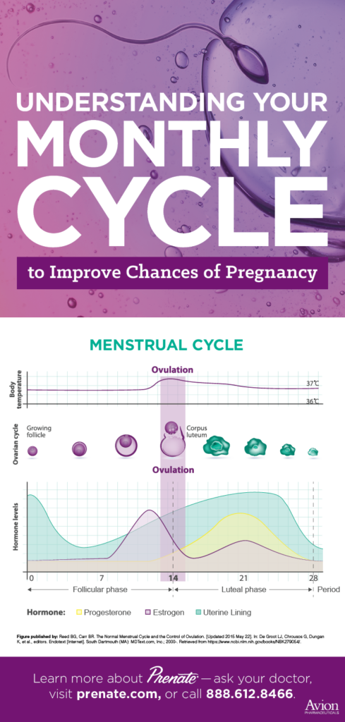 Understanding Your Monthly Cycle To Improve Conception - Prenate ...
